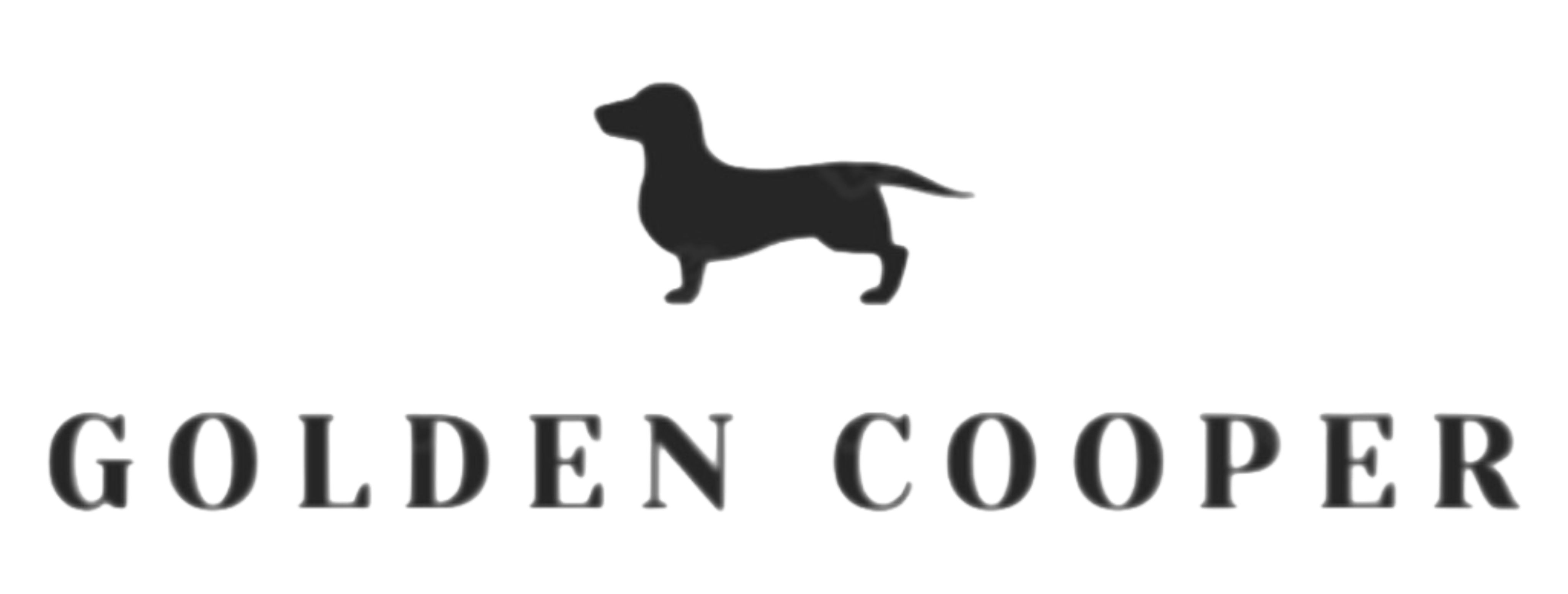 Golden Cooper | Moda para perros con clase y buen gusto.