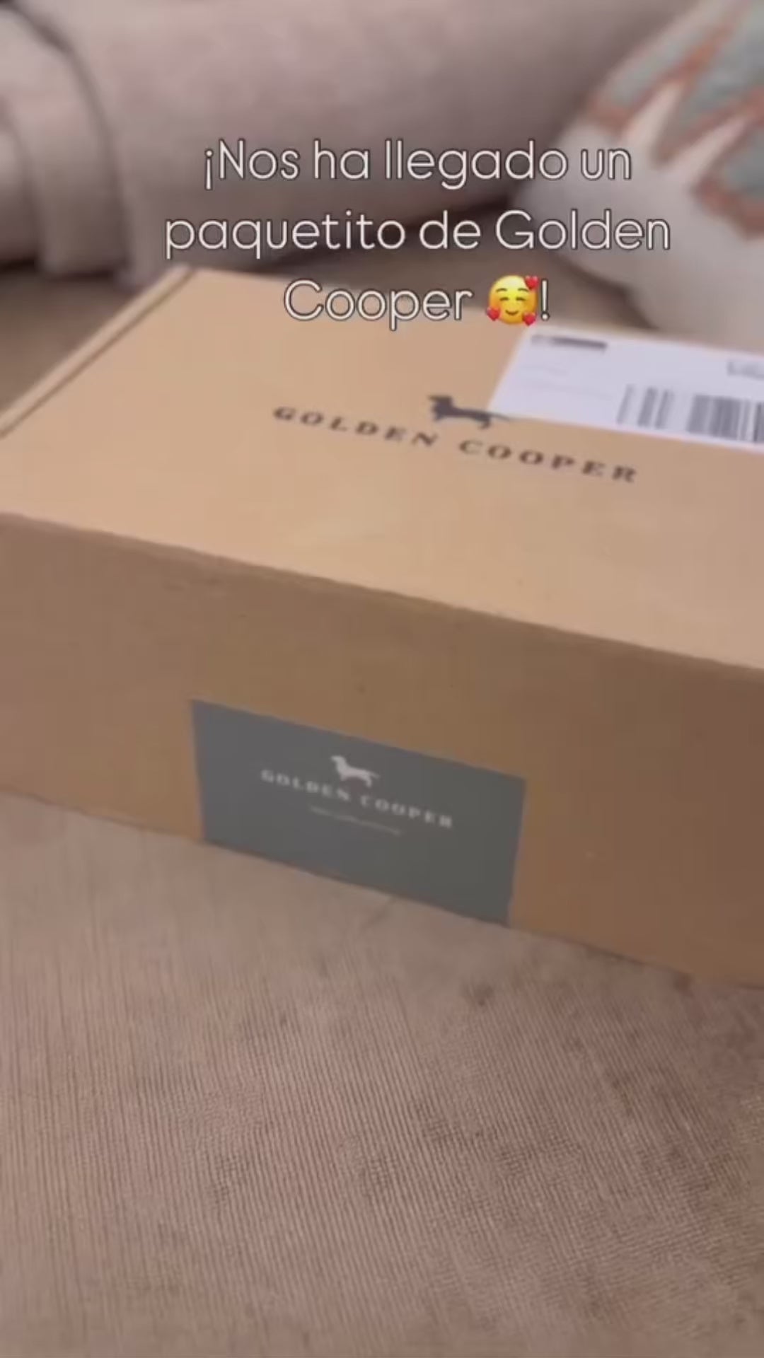 Golden Cooper | Moda para perros con clase y buen gusto.